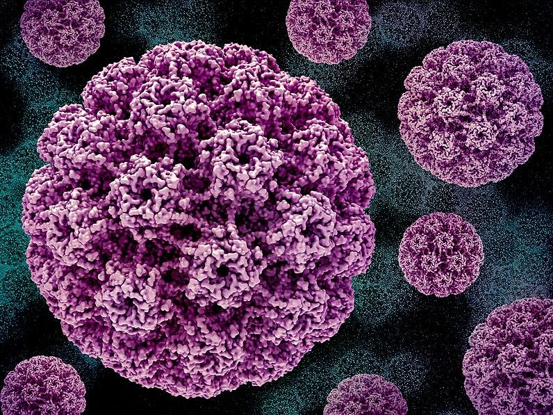 Rare Cancers Possibly Caused by Viruses - NCI